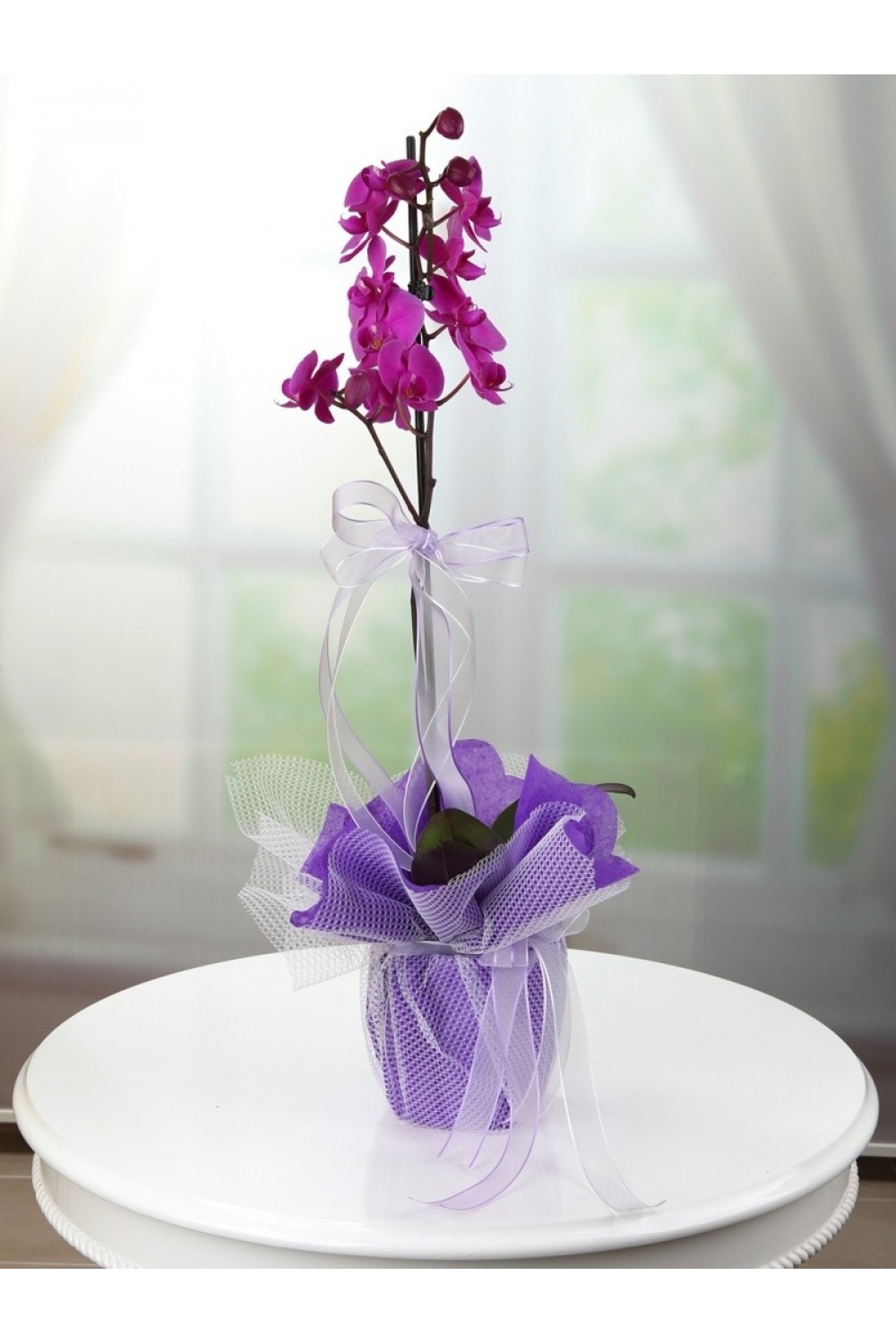 Mor Orkide tekli - 235